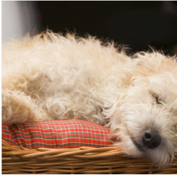 Learning Center - Hartz